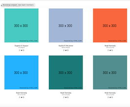 Preview bootstrap html snippet. new team members